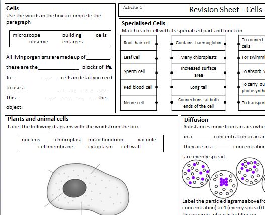 Activate 1 Biology Revision Sheets | Teaching Resources