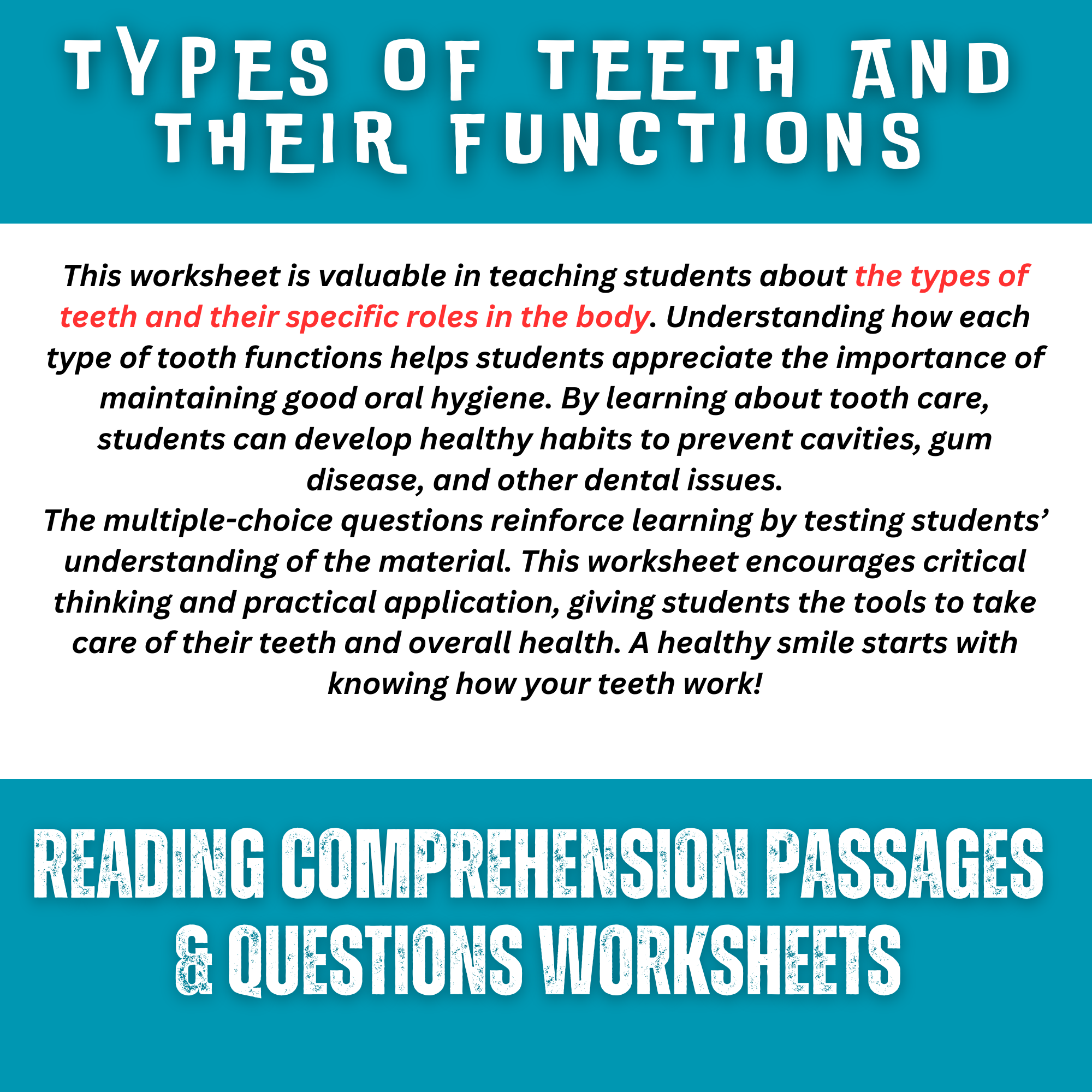 Types of Teeth and Their Functions - Health Reading Worksheet ...