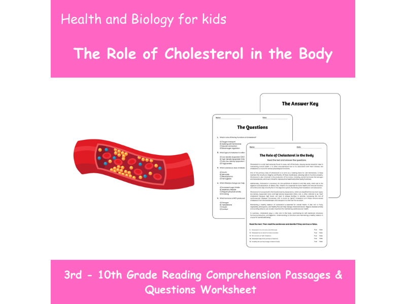 The Role of Cholesterol in the Body Reading Comprehension Passages ...