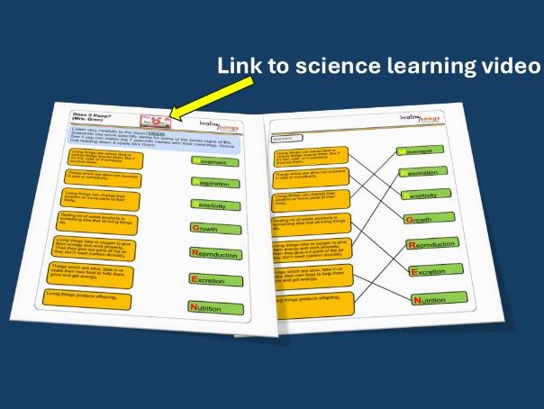 LIVING DEAD NEVER ALIVE KS1 - SONG lesson | Teaching Resources