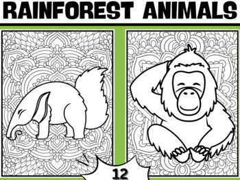 Rainforest Animals Coloring Pages | 12 Printable Mindfulness Sheets ...