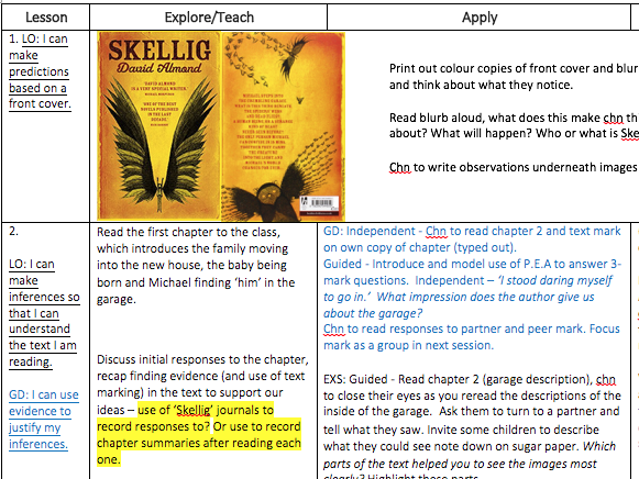UKS2 Skellig English, reading, guided reading unit of work | Teaching ...