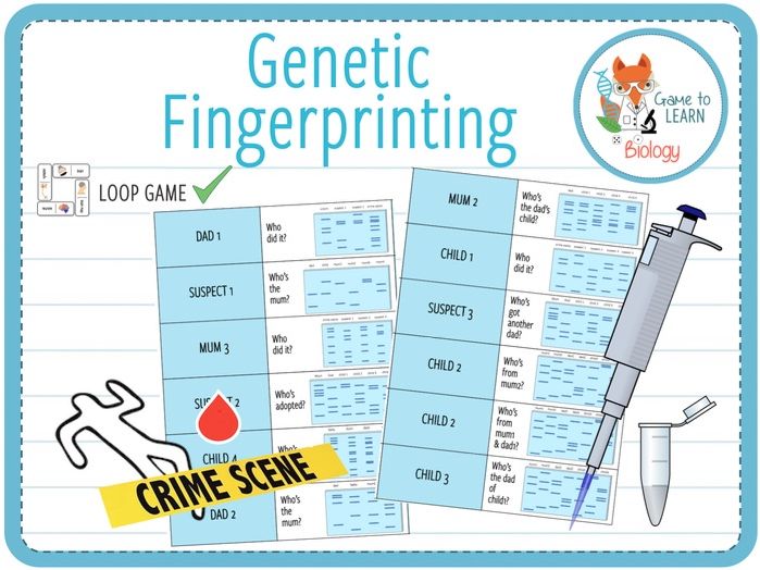 Genetic Fingerprint Mysteries - Loop Game (KS4/5) | Teaching Resources