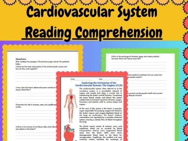 Human Body Systems | Cardiovascular System | Reading Comprehension ...