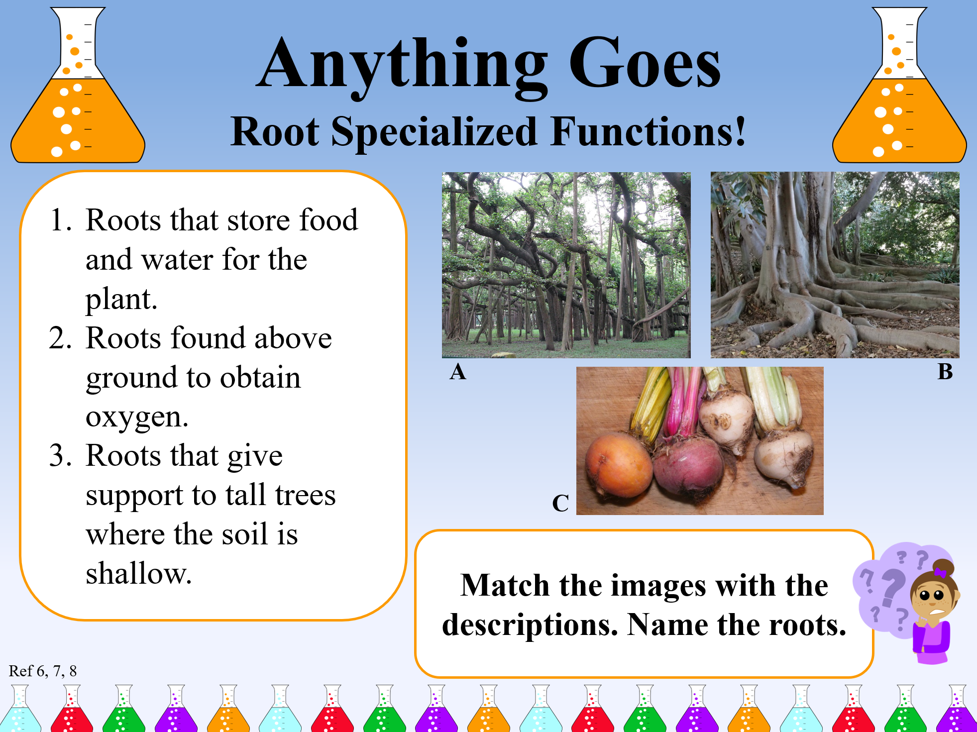Two weeks of Plant Structure and Function Bellringers Warm Ups ...