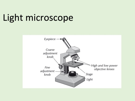 B1 AQA Lesson 1: Microscopy | Teaching Resources
