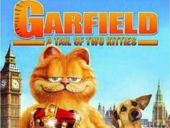 Reading Comprehension Garfield- A Tail Of Two Kitties By: Michael ...