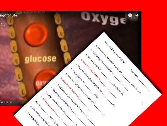 Scientific Eye Biology Bonanza - x 7! | Teaching Resources