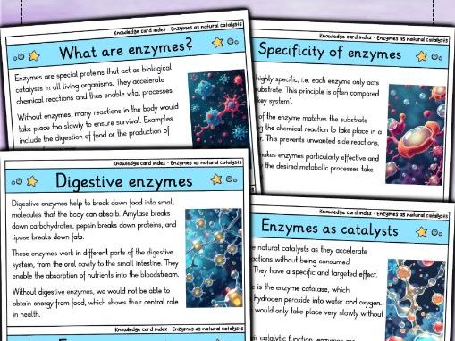 Enzymes - Flashcards | Biology | Function, Structure & Role in ...