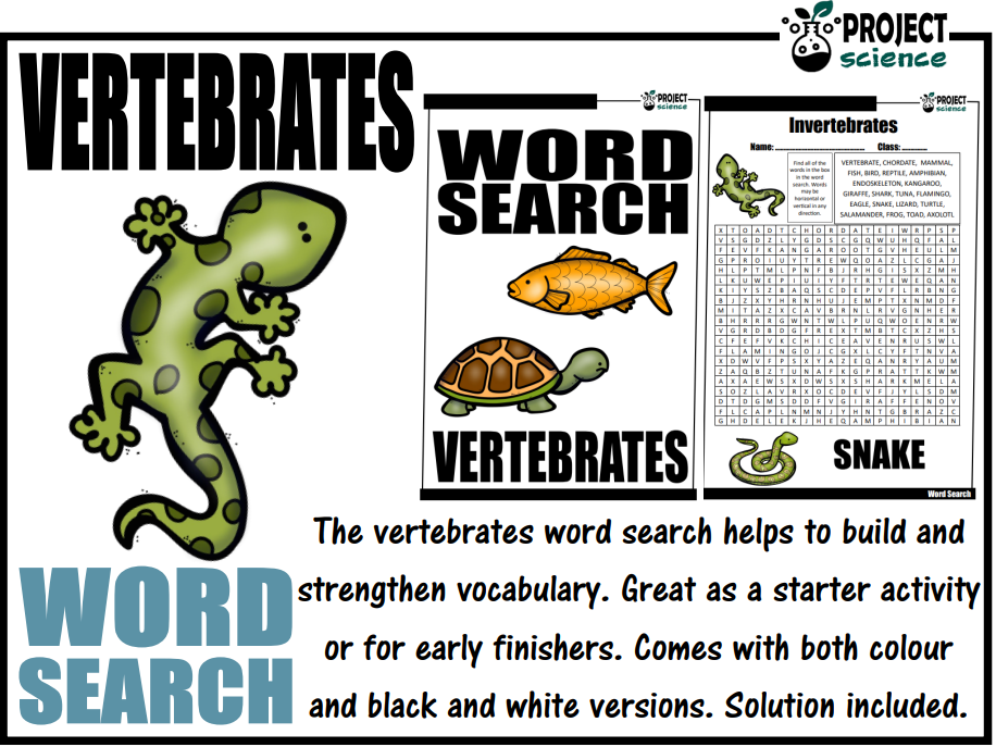 Vertebrates Word Search Teaching Resources