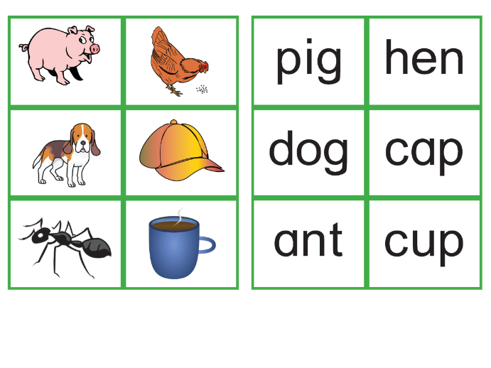 Phonics Activity for CVC & digraphs | Teaching Resources