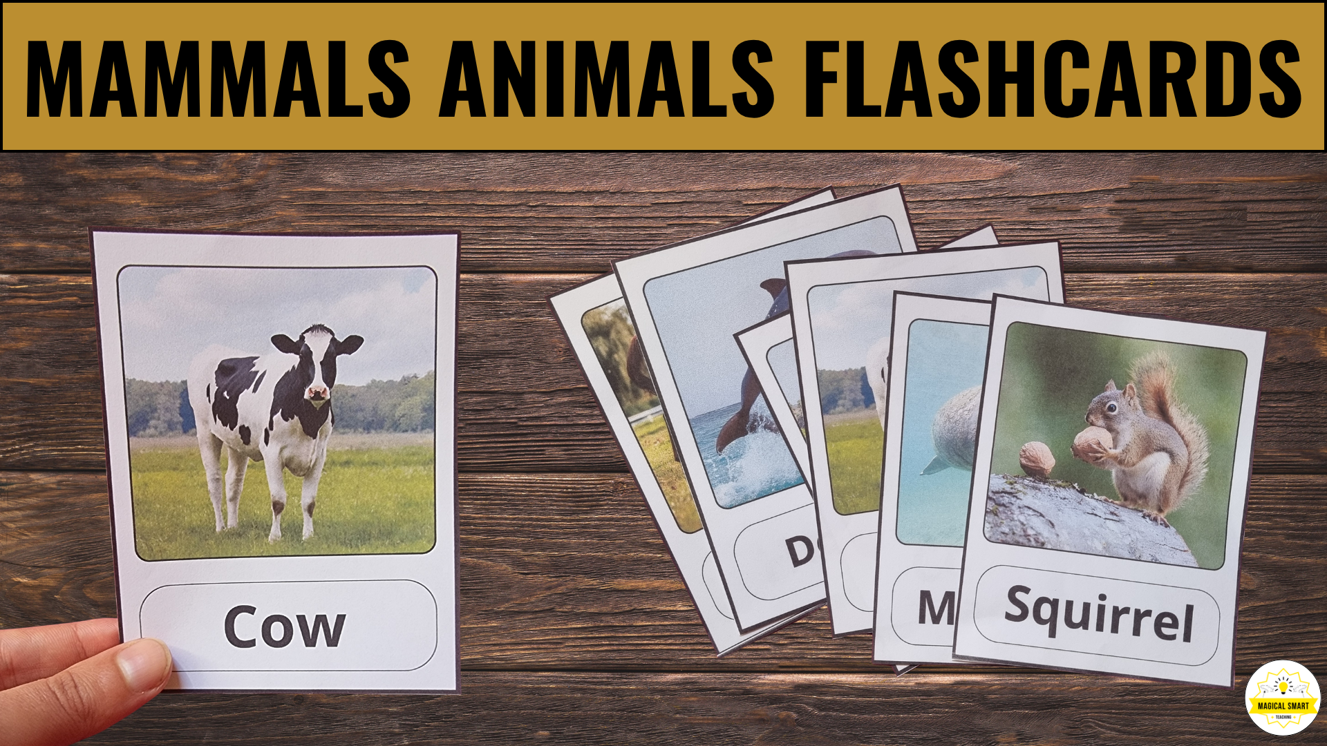 Mammals Animal Classification Flashcards, ESL Vocabulary Photo Picture ...