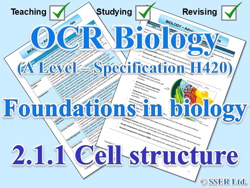 BIOA_OCR Topic Notes: 2.1.1 Cell structure | Teaching Resources