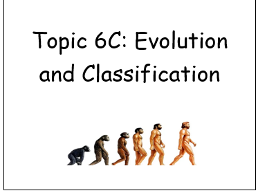 Unit 6c: Variation and Evolution revision | Teaching Resources