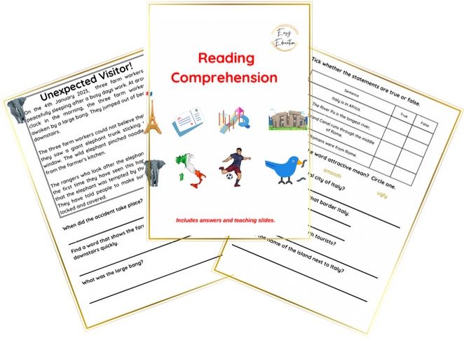 Year 2 Reading Comprehension Booklet | Teaching Resources