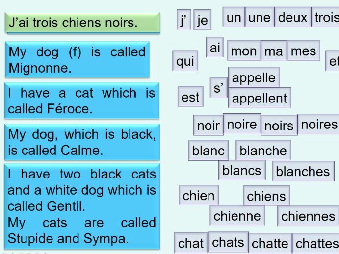 Secondary French resources: animals and pets