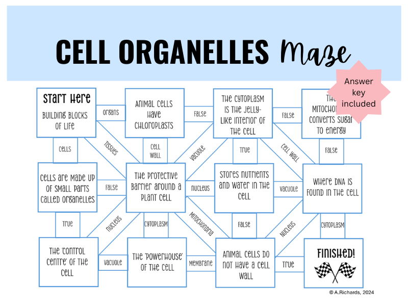 Cell Organelles Maze Worksheet | Teaching Resources