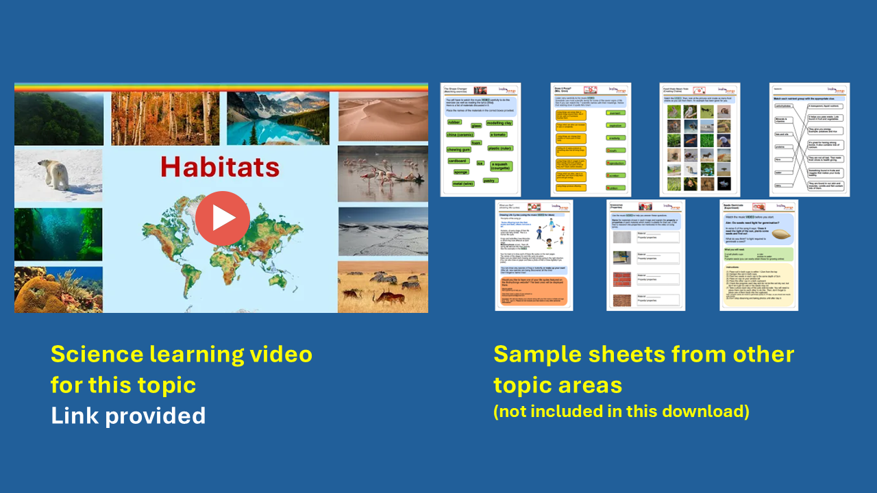 LIVING THINGS & HABITATS YEAR 2 SONG LESSON | Teaching Resources