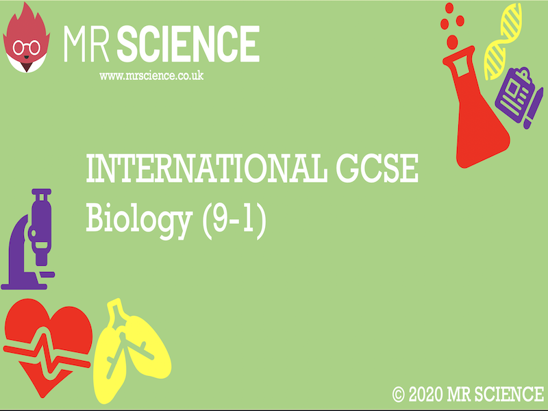 IGCSE Edexcel Biology (9-1) Ecology and the environment | Teaching ...