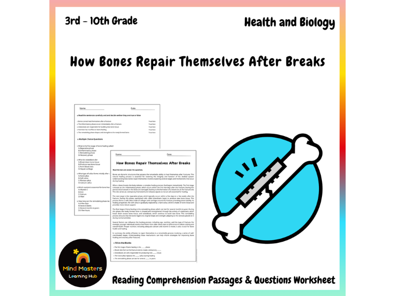 How Bones Repair Themselves After Breaks Reading Comprehension Passages ...