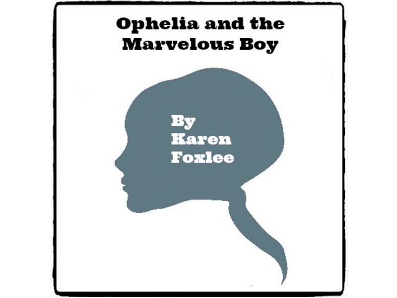 Ophelia and the Marvelous Boy * (Reed Novel Studies) | Teaching Resources