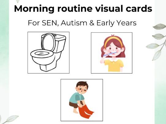 Morning Routine Visual Schedule Cards ( SEN & Autism ) | Teaching Resources