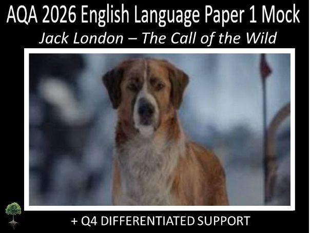 One AQA GCSE English Language Paper 1 Mock | Q4 Differentiated Support ...