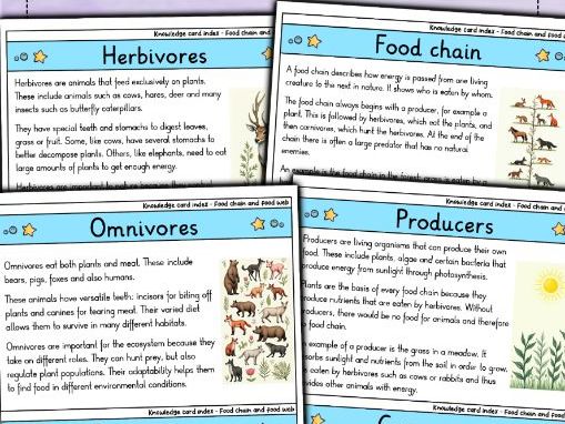 Food Chain and Food Web - Flashcards | Biology | Energy Flow ...