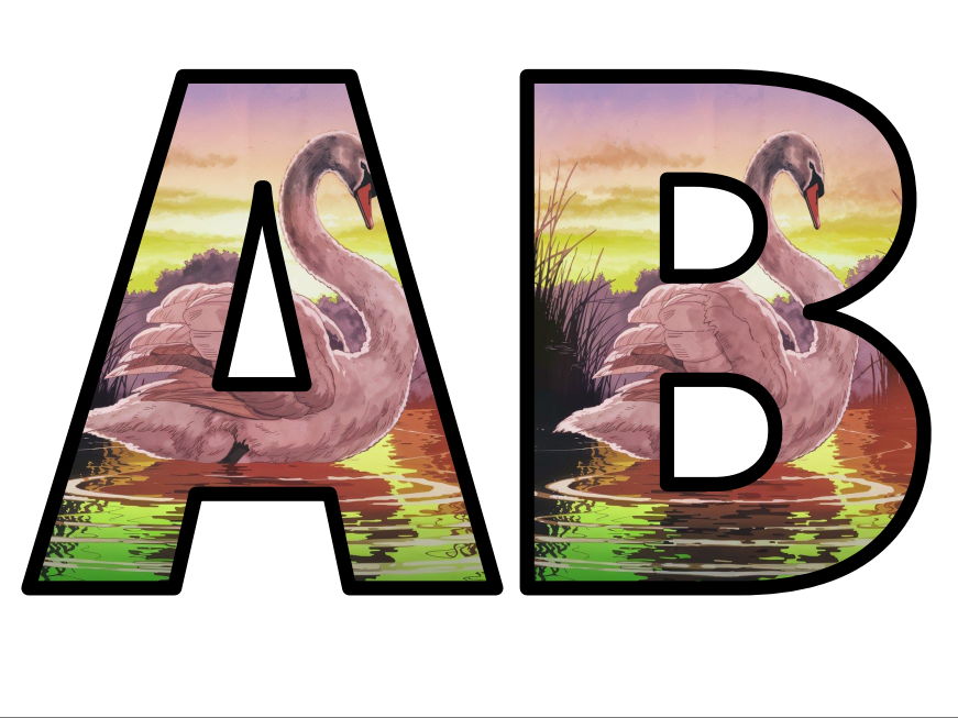Beautiful Swan Bird Protected Species Lettering Set Display Title ...