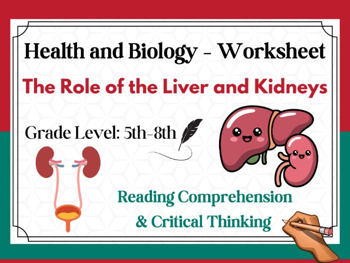 The Role of the Liver and Kidneys: Reading Comprehension Passages ...