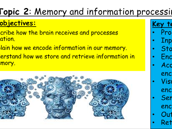 Secondary biological psychology resources