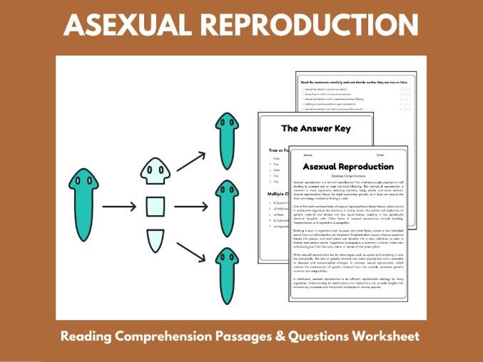 Asexual Reproduction: Reading Comprehension Passages & Questions ...