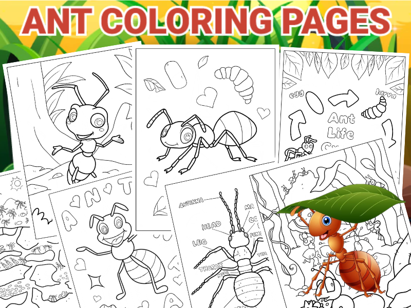 Ant Coloring Page