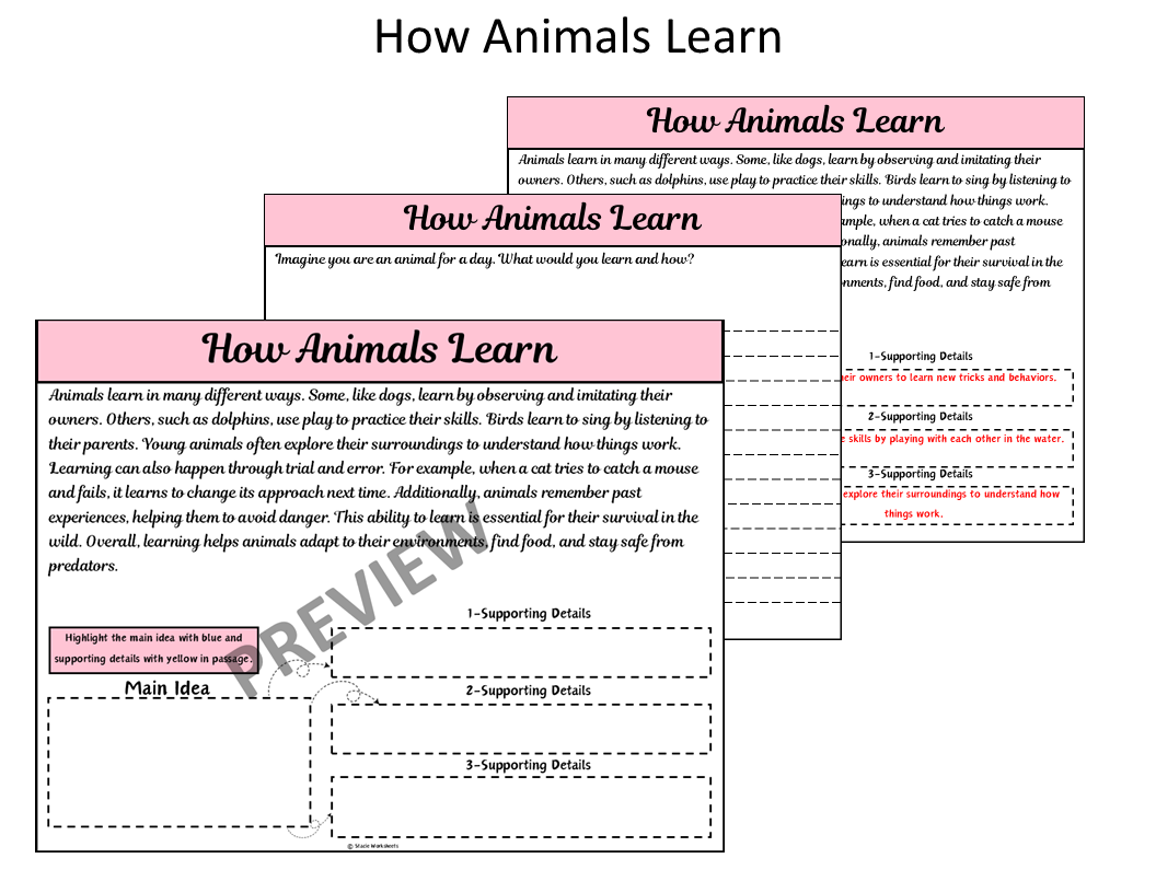 How Animals Learn | Main Idea and Supporting Details Reading Passage ...