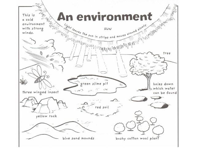 An environment | Teaching Resources
