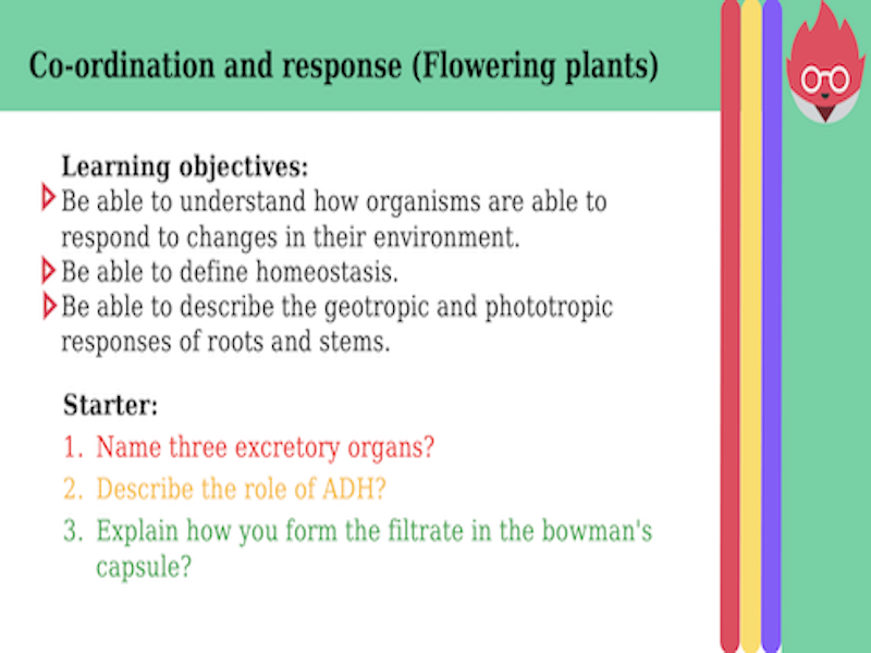 IGCSE Edexcel Biology (9-1) Phototropism and Gravitropism *Updated ...
