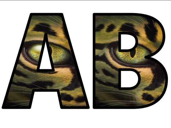 Jaguar Cat Eye Wild Animal Lettering Set Display Title Letters Numbers ...