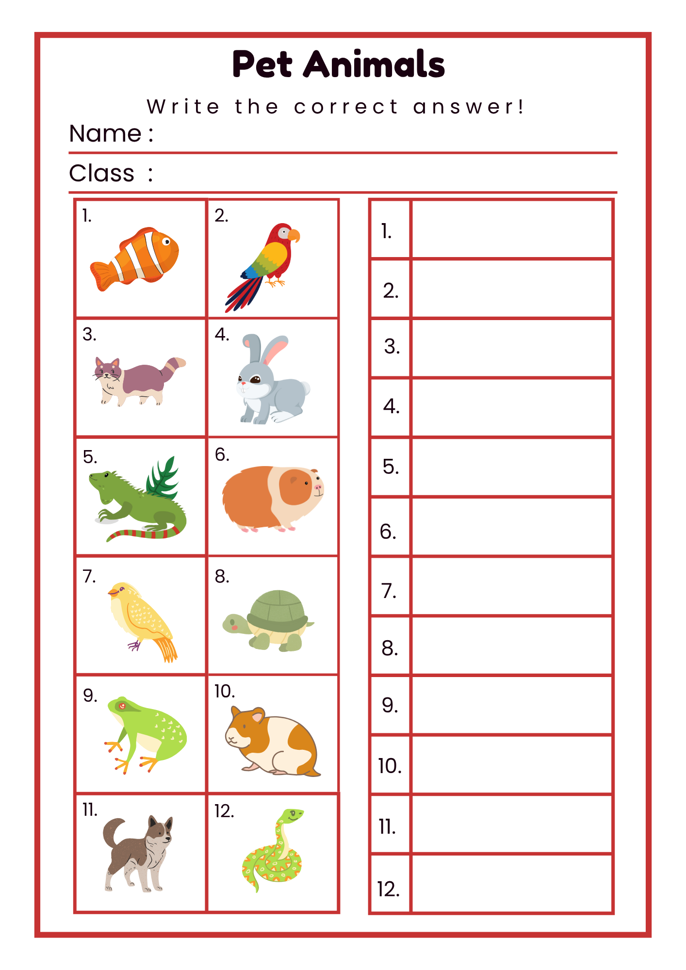 Colorful Illustrative Pet Animals Worksheet | Teaching Resources