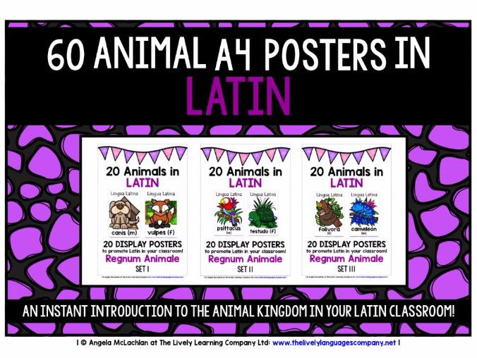 Secondary Latin language and literature teaching resources | TES