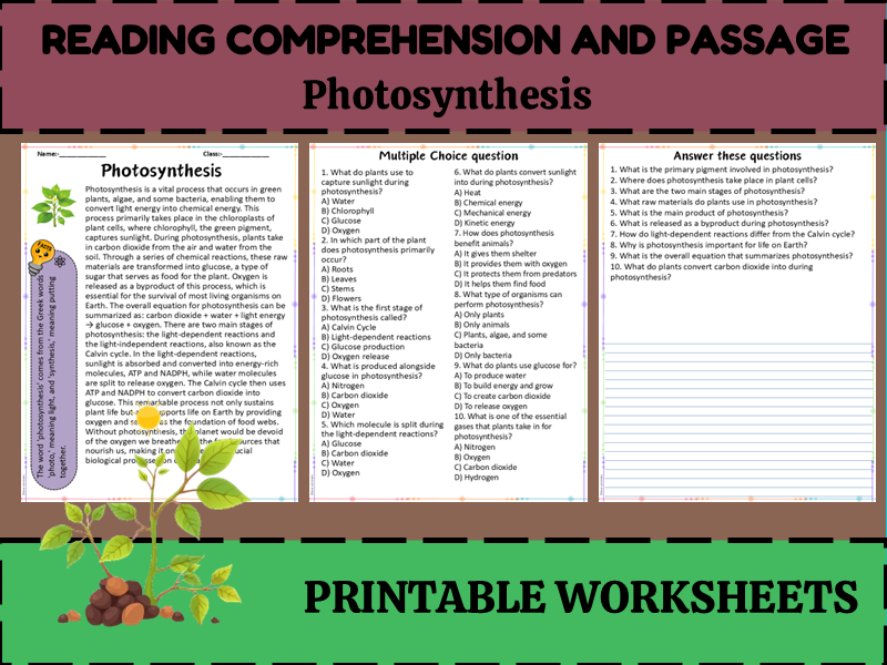 Explore Photosynthesis: Reading Passage with Engaging Questions ...