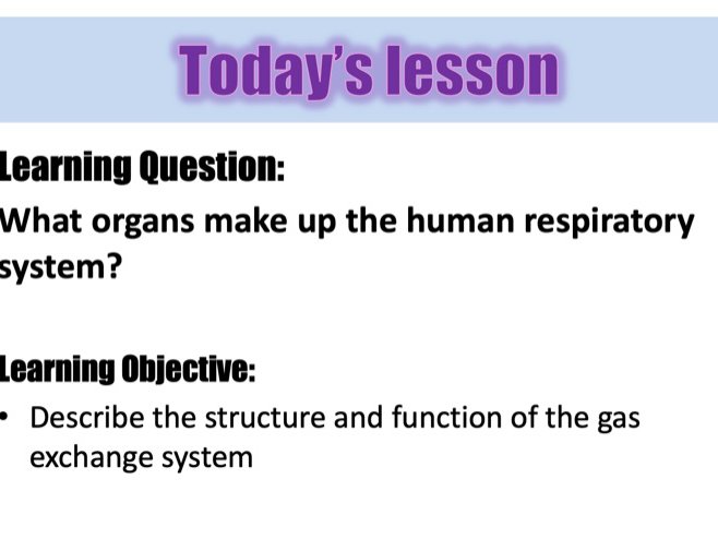 Gas Exchange and Lung Anatomy | Teaching Resources