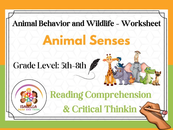 Animal Senses: Reading Comprehension Passages & Questions Worksheets ...