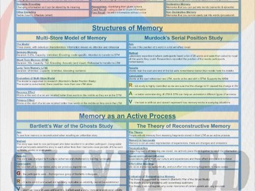 AQA GCSE Psychology. Paper 1 Knowledge Organisers Bundle | Teaching ...