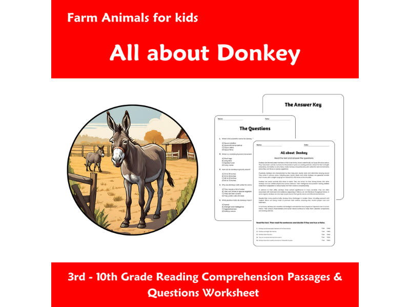 All About Donkeys Reading Comprehension Passages & Questions Worksheets ...