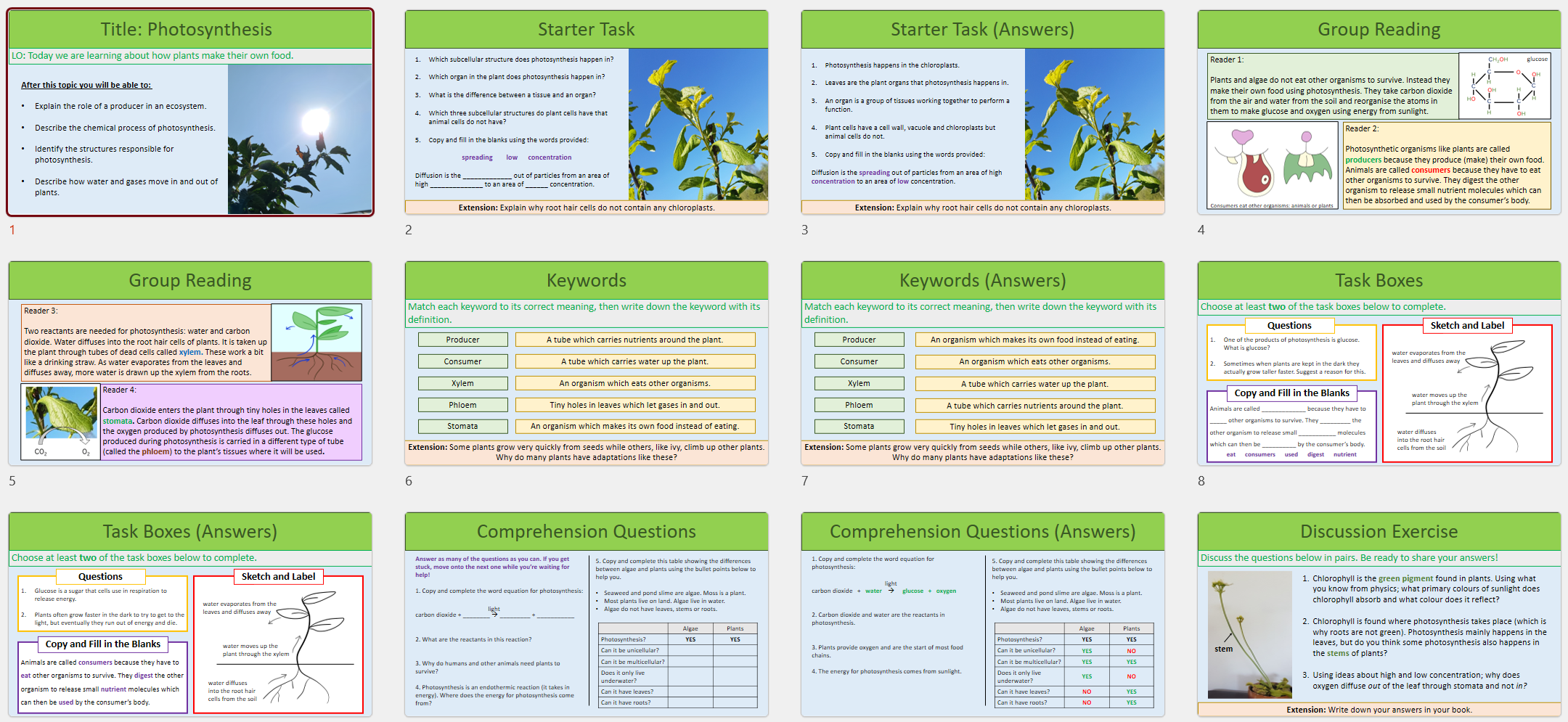 Photosynthesis ~ KS3 ~ Year 8 | Teaching Resources