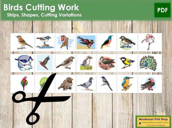 FREE Birds Cutting Work - Preschool Activity | Teaching Resources