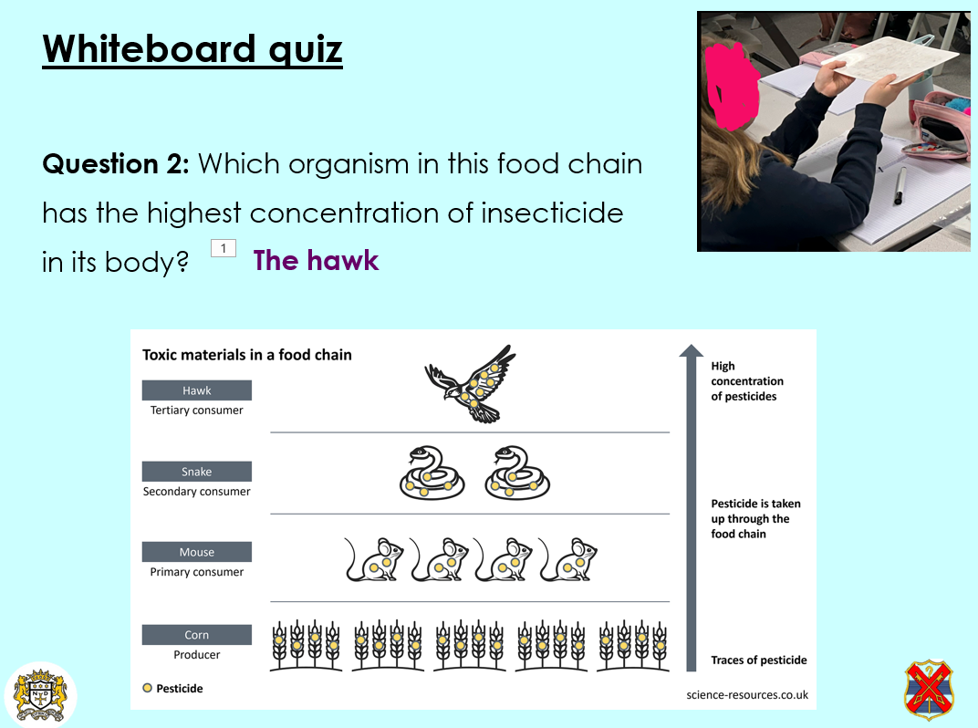 Disruption to food chains and food webs - KS3 Activate lesson ...