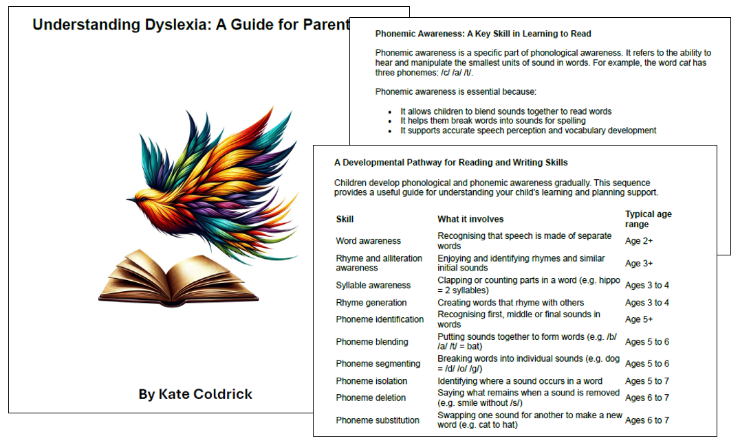 Neurodiversity Guide - Understanding Dyslexia | Teaching Resources