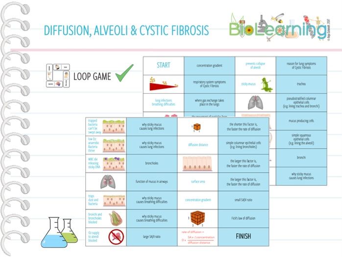 Diffusion, alveoli and Cystic Fibrosis - Loop Game (KS5) | Teaching Resources