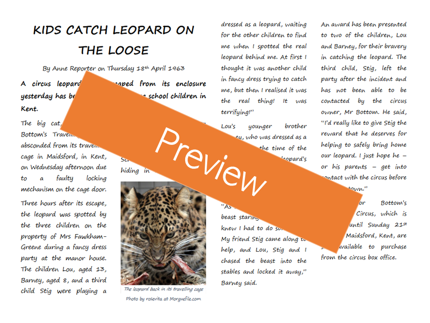 Stig of the Dump Newspaper Report Example, Feature Sheets, Answers ...